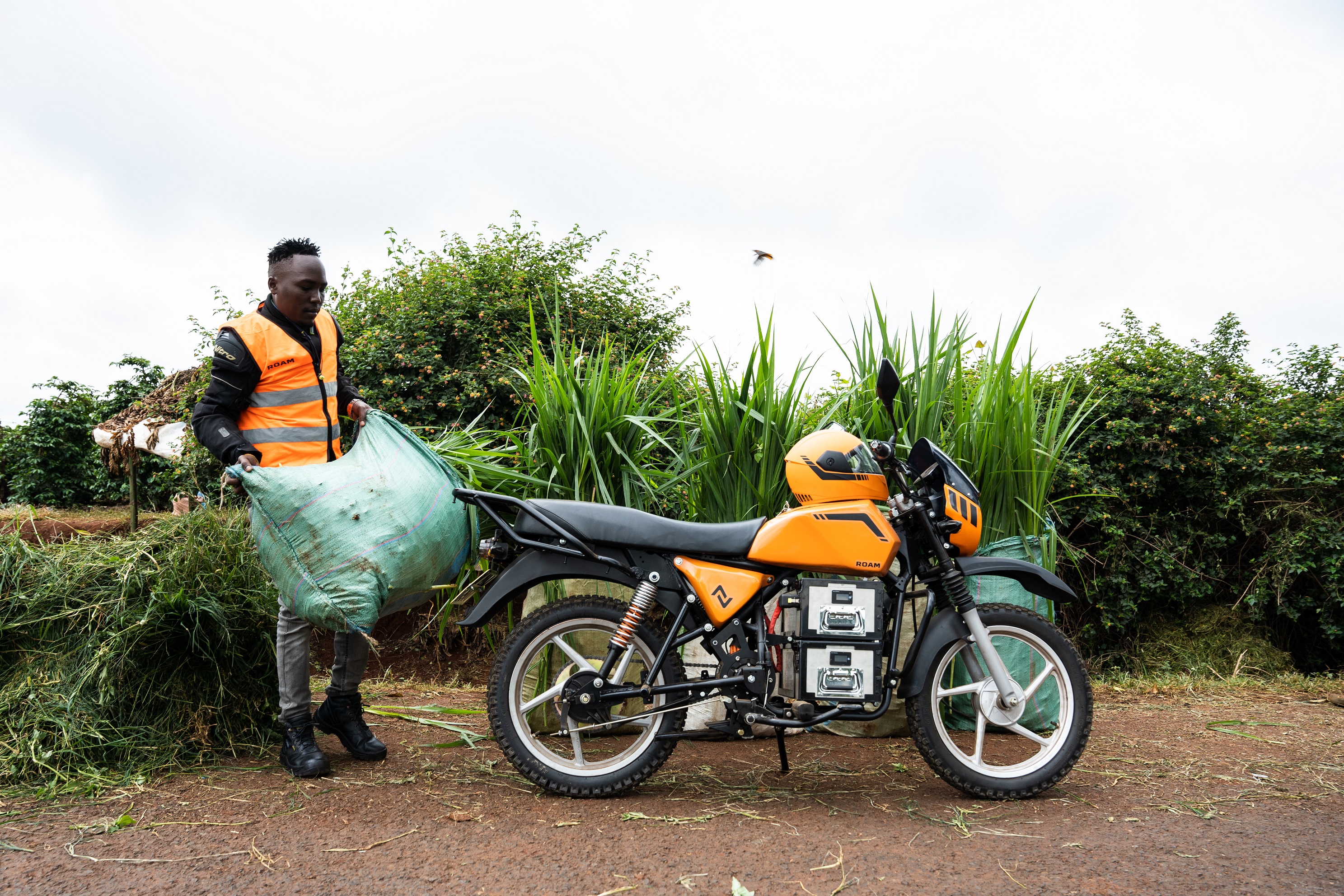 Motorcycles Roam